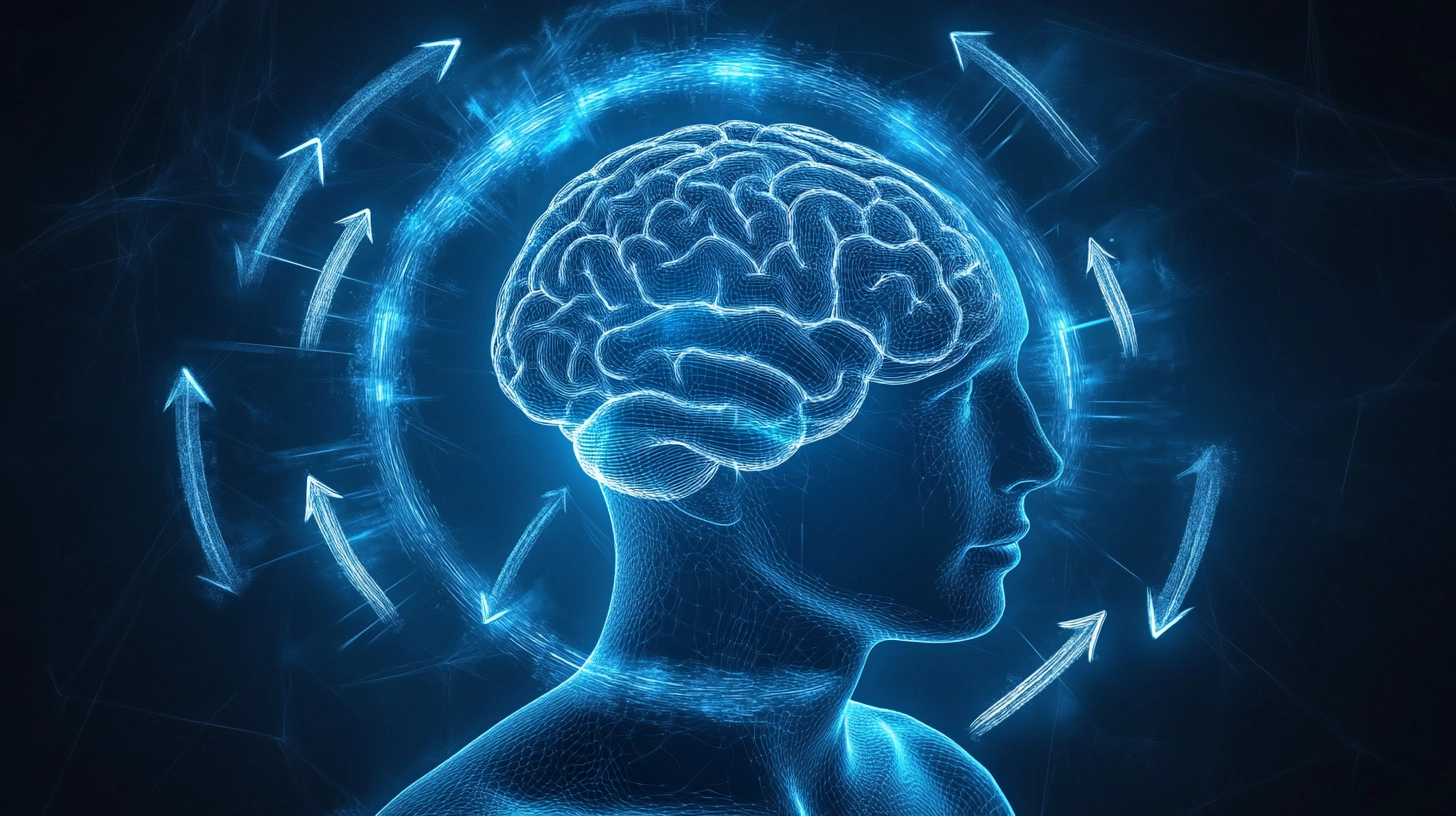 Habit Formation In Psychology The Characteristics Of Habits