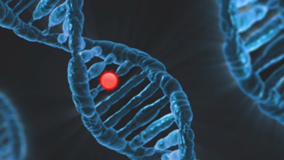 What Is Random Mutation? Daniel Dennett Explains - Shortform Books