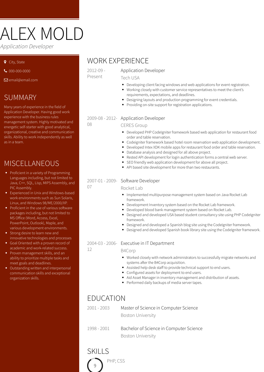 Sample Of Cv For Job Application Professional CV Examples Get Hired LiveCareer Writing A 