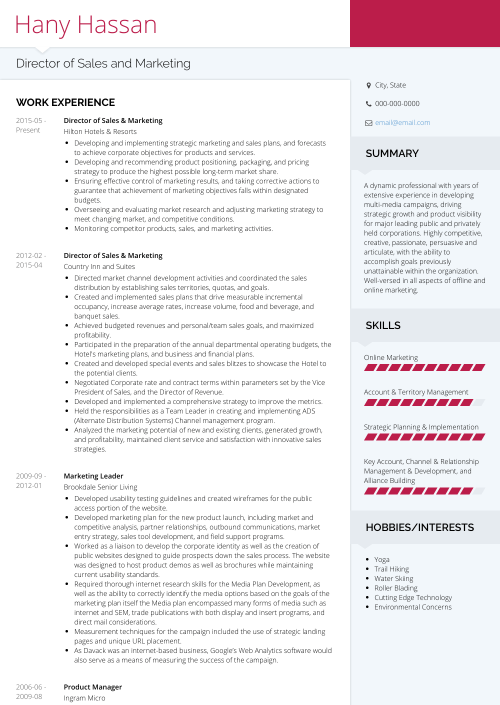 Director Of Sales And Marketing Resume Samples And Templates VisualCV