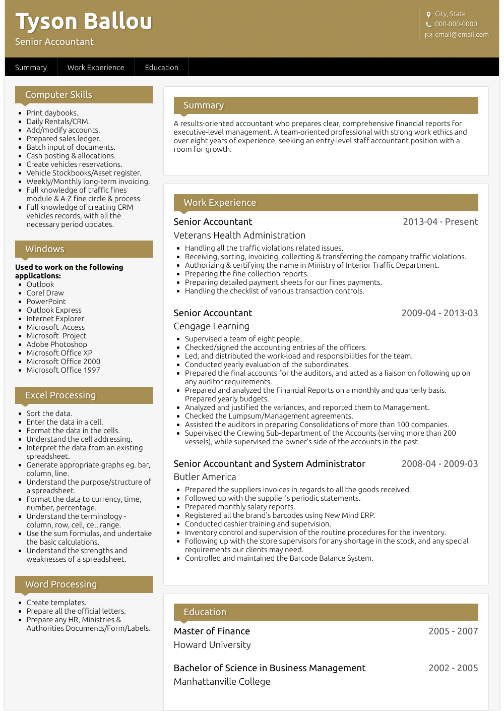 Senior Executive Resume Template