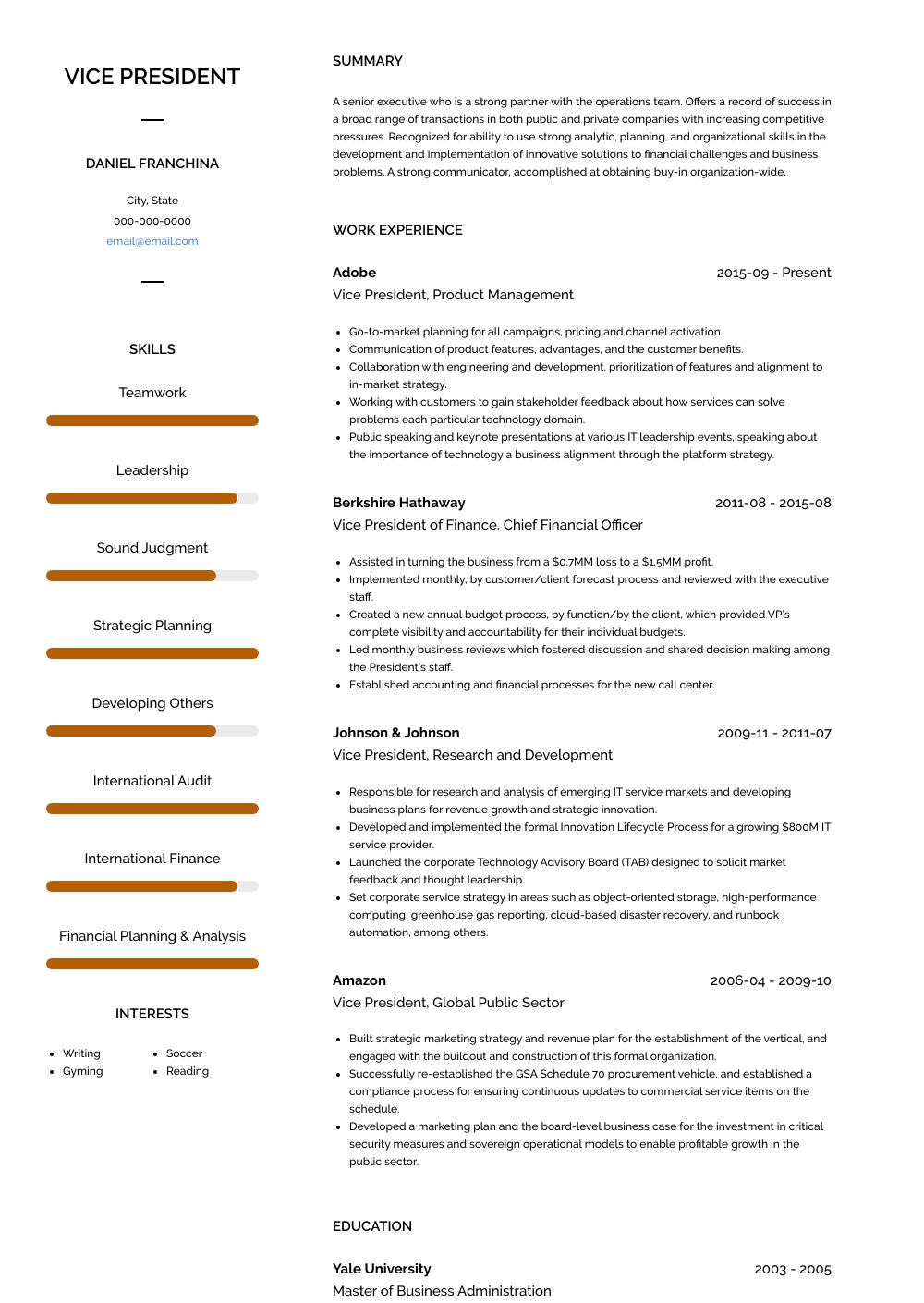 Vp - Resume Samples and Templates | VisualCV