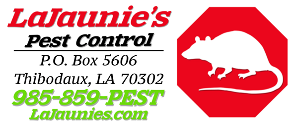 Green Flash Pest Control Reviews | Pest Control