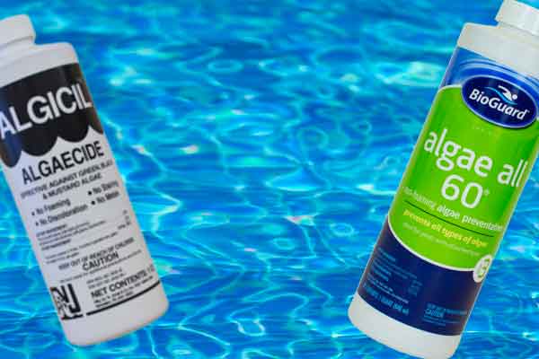 Learn About Pools – Pool Co.