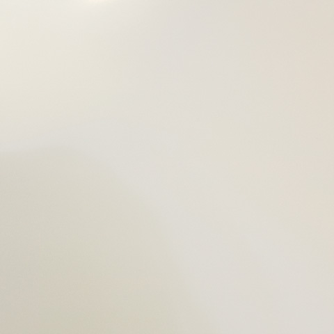 Bullfrog Spas Model R6 - Tampa Bay Hot Tubs