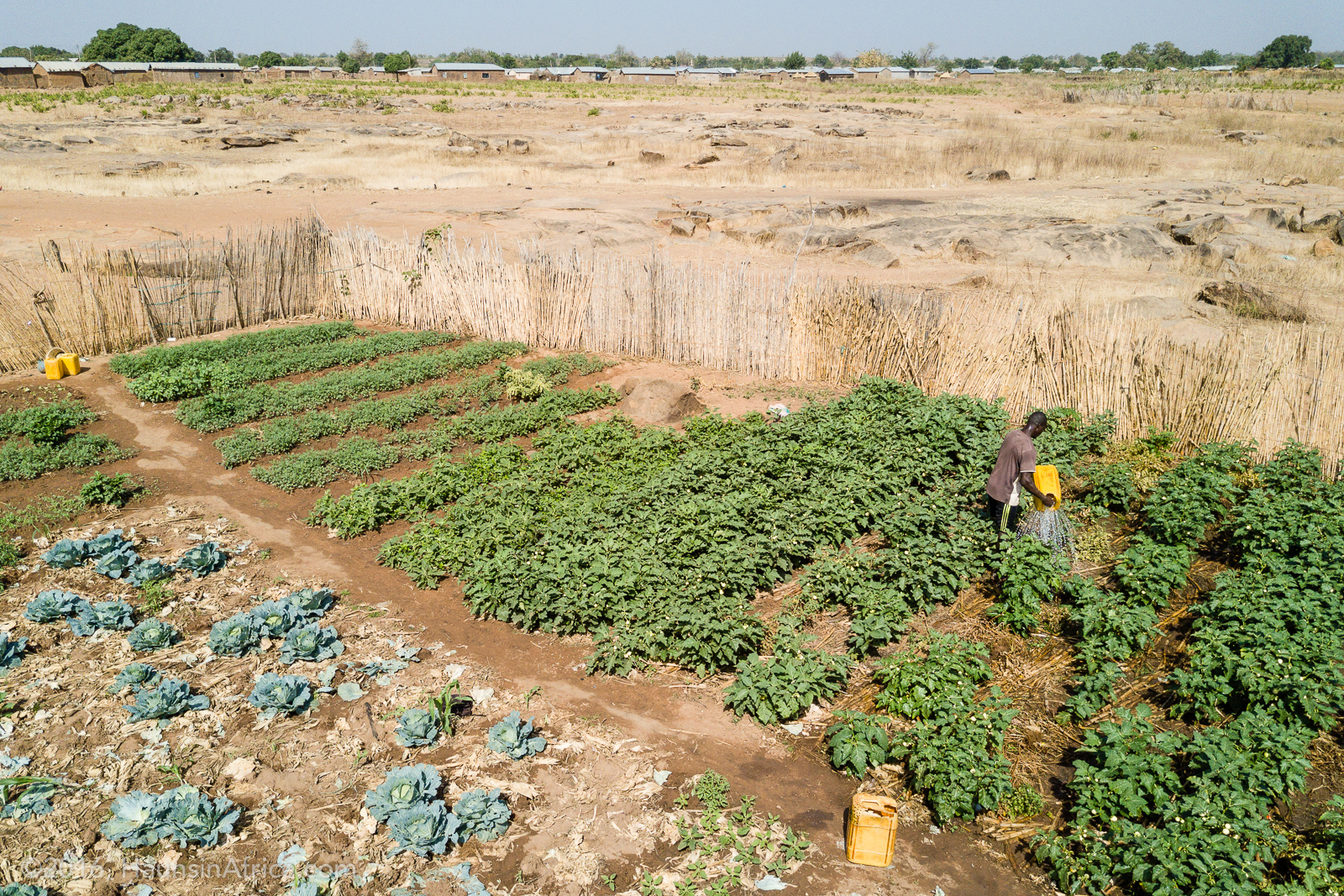 Dry Season Gardening - The Hauns in Africa