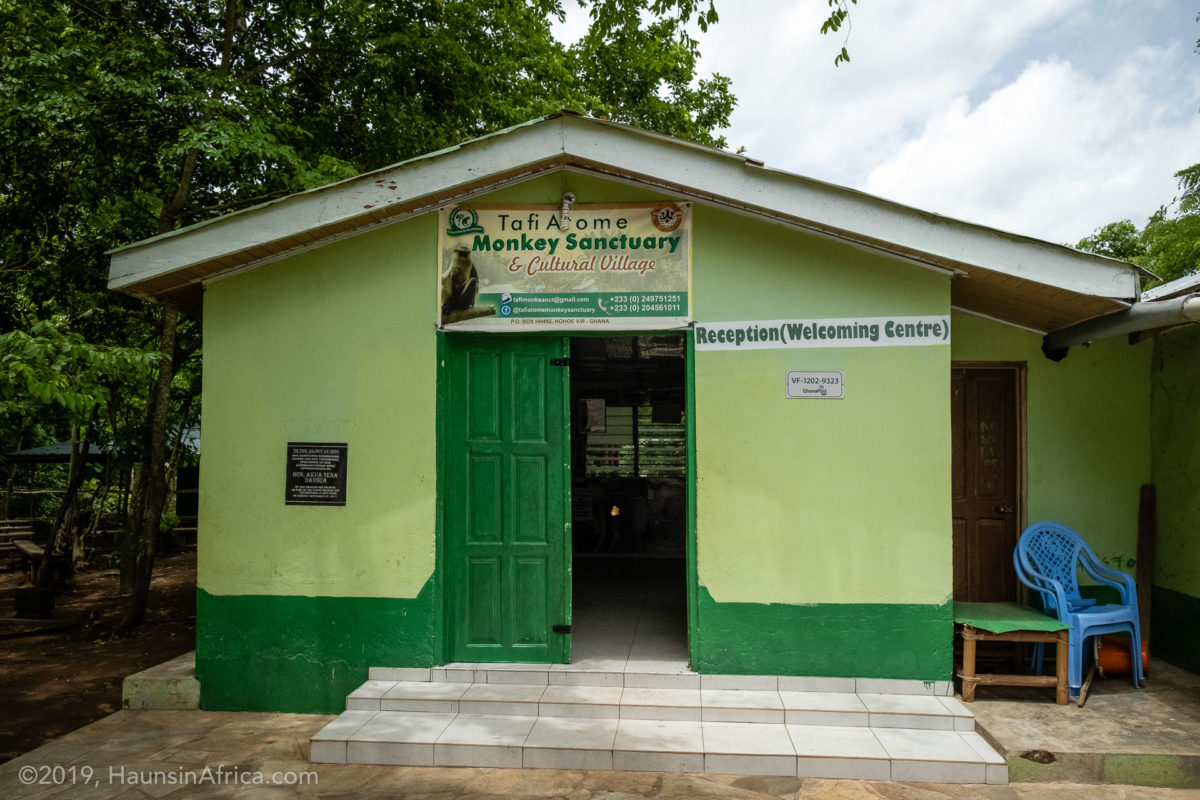 Tafi Atome Monkey Sanctuary - The Hauns in Africa