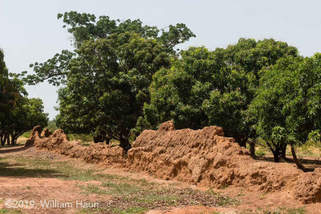 NaJeringa Defense Wall - Ghana's North East Region