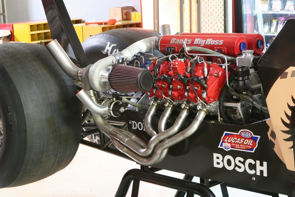 Marine Animal - Banks Power