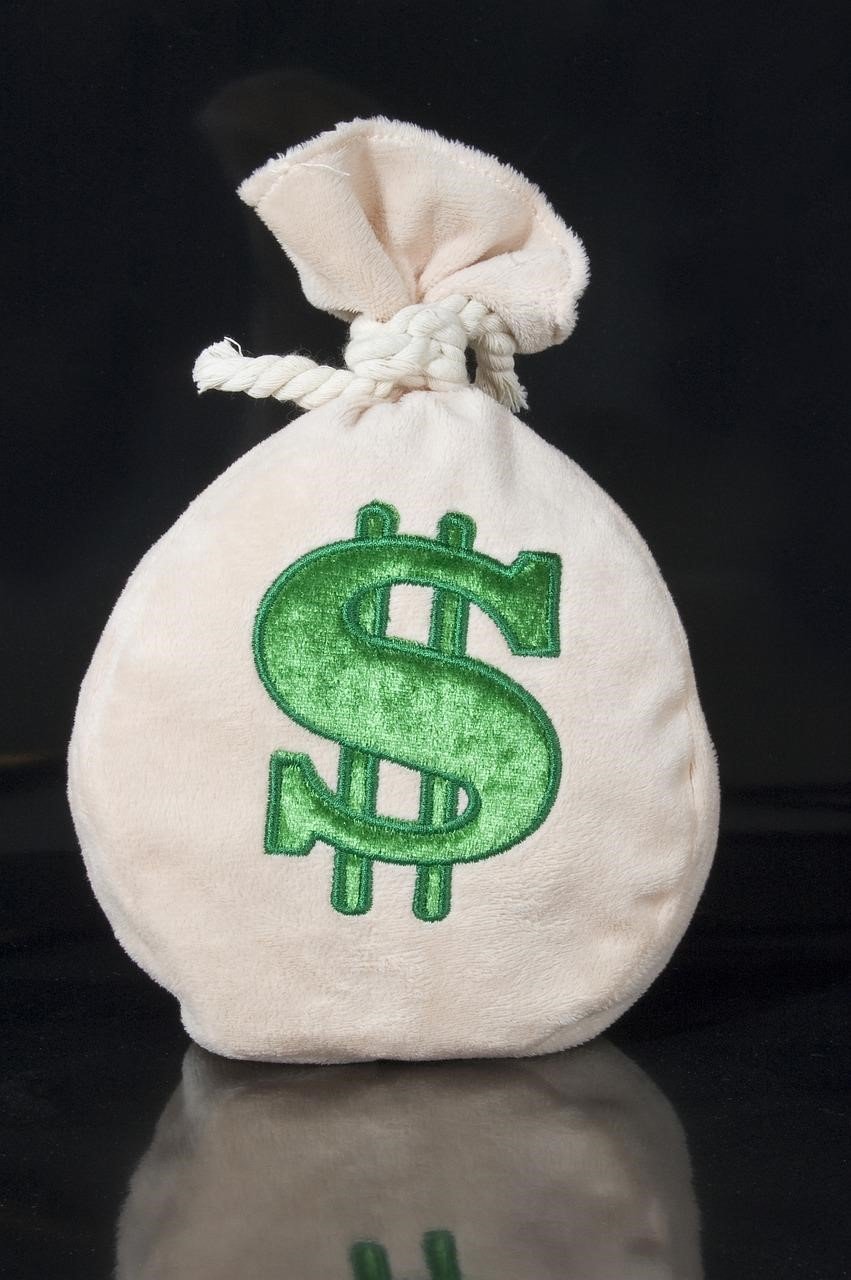 Life Member Dues Donation - ECSCA