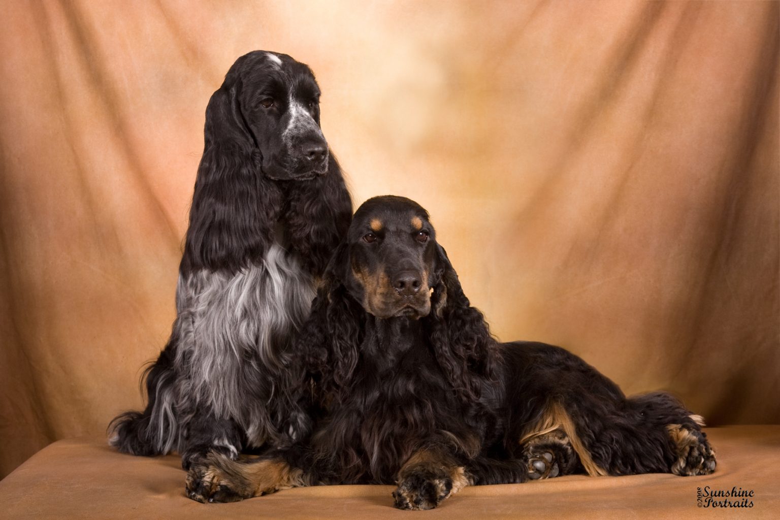 About The Breed - ECSCA