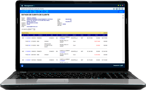 Sistema ERP Finanzas | ManagementPro