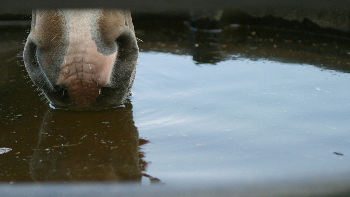 Keeping Water Troughs Thawed With or Without a Heater