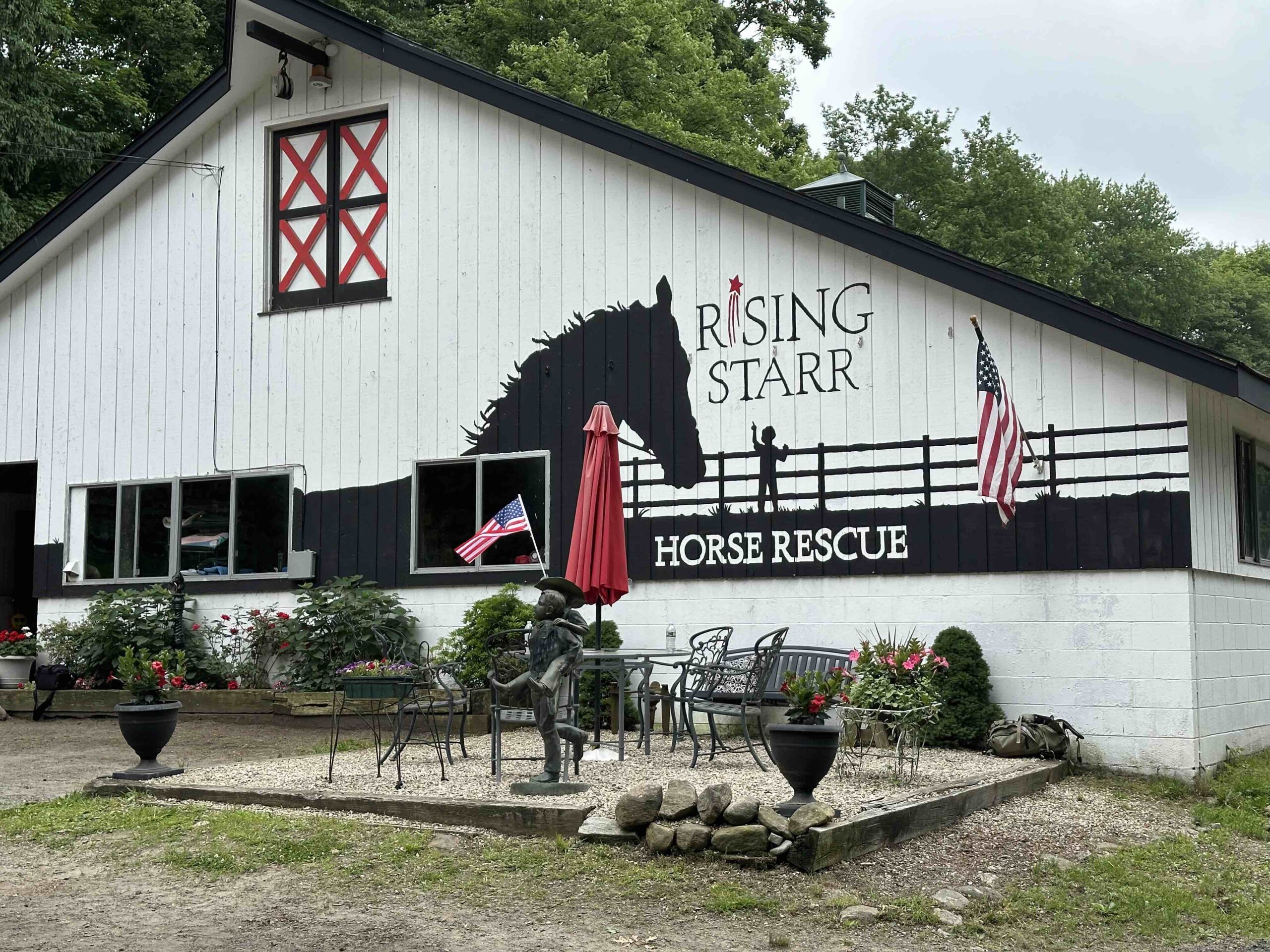 A New Beginning for Horses at Rising Starr