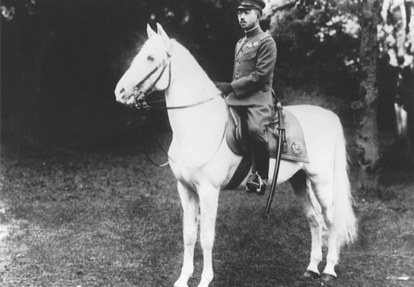 Bronc Rider, Freedom Fighter