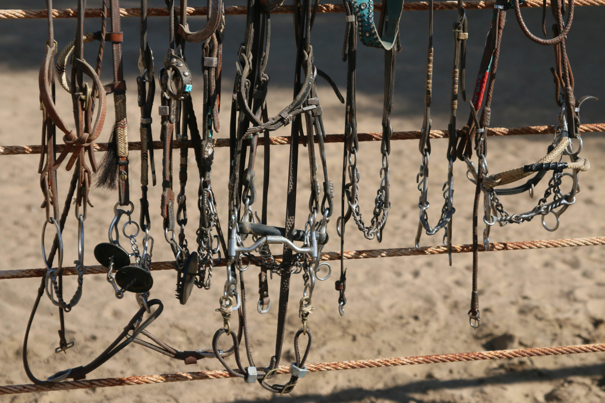 Understanding the Anatomy of Barrel Racing Bits