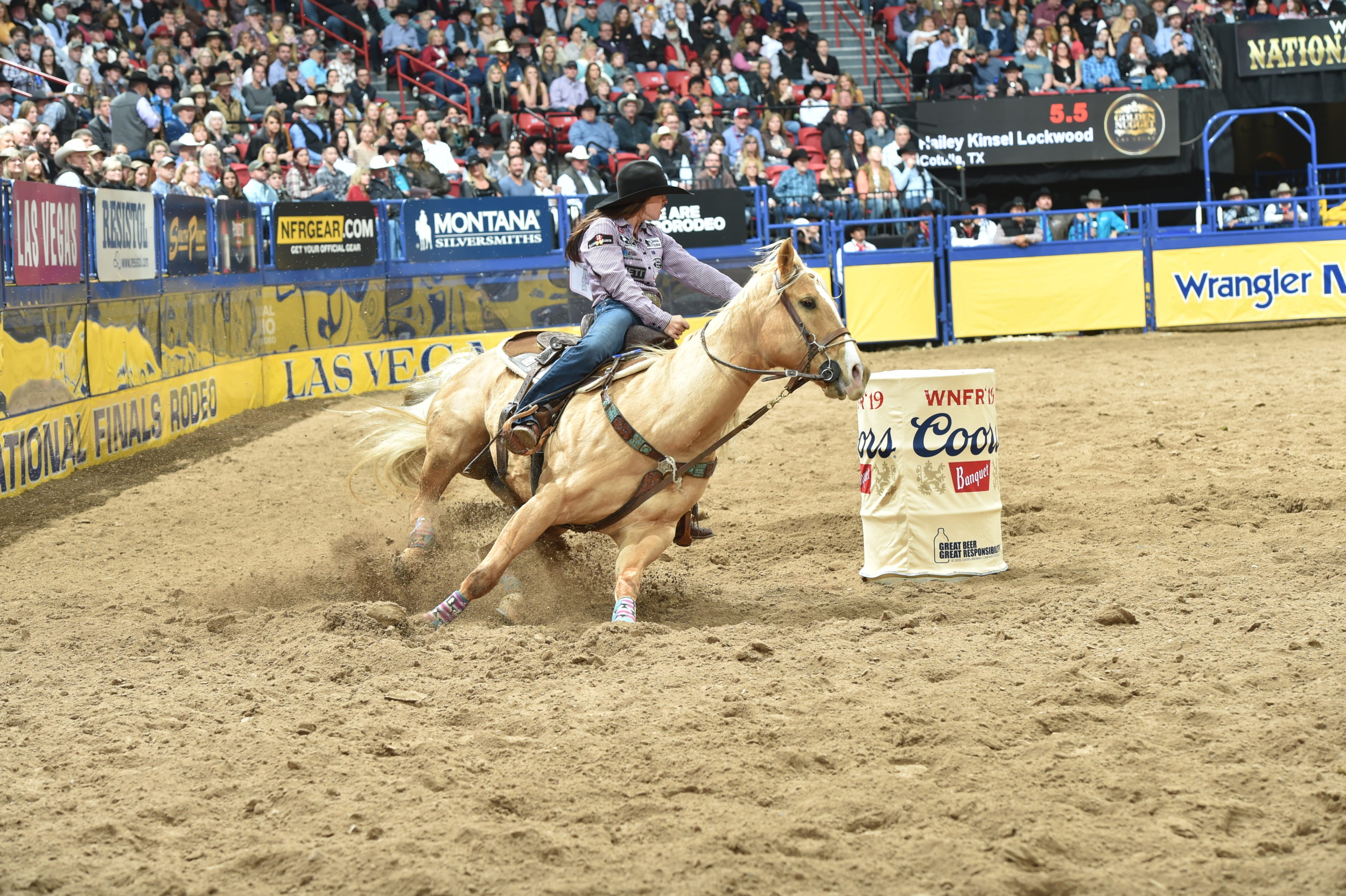 Pedigree Power: The Best Barrel Racing Bloodlines in the Game