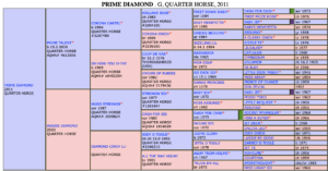 The Complete List of 2023 NFR Barrel Racing Horses