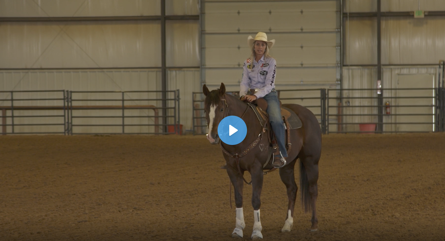 Barrel Horse Prospects - BarrelRacing.com