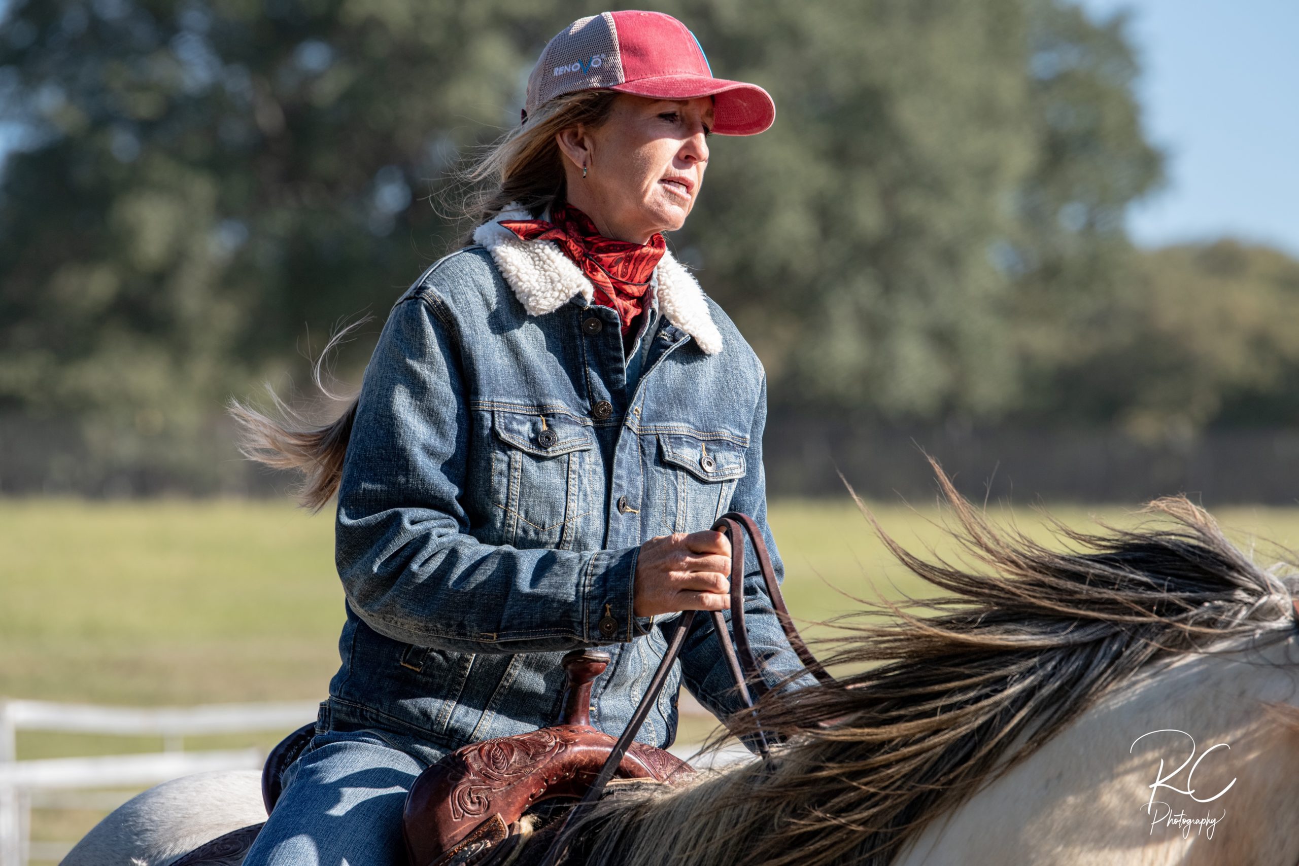 Working Cattle: Cheyenne Wimberley's Must-Do Exercise for Barrel Horses ...