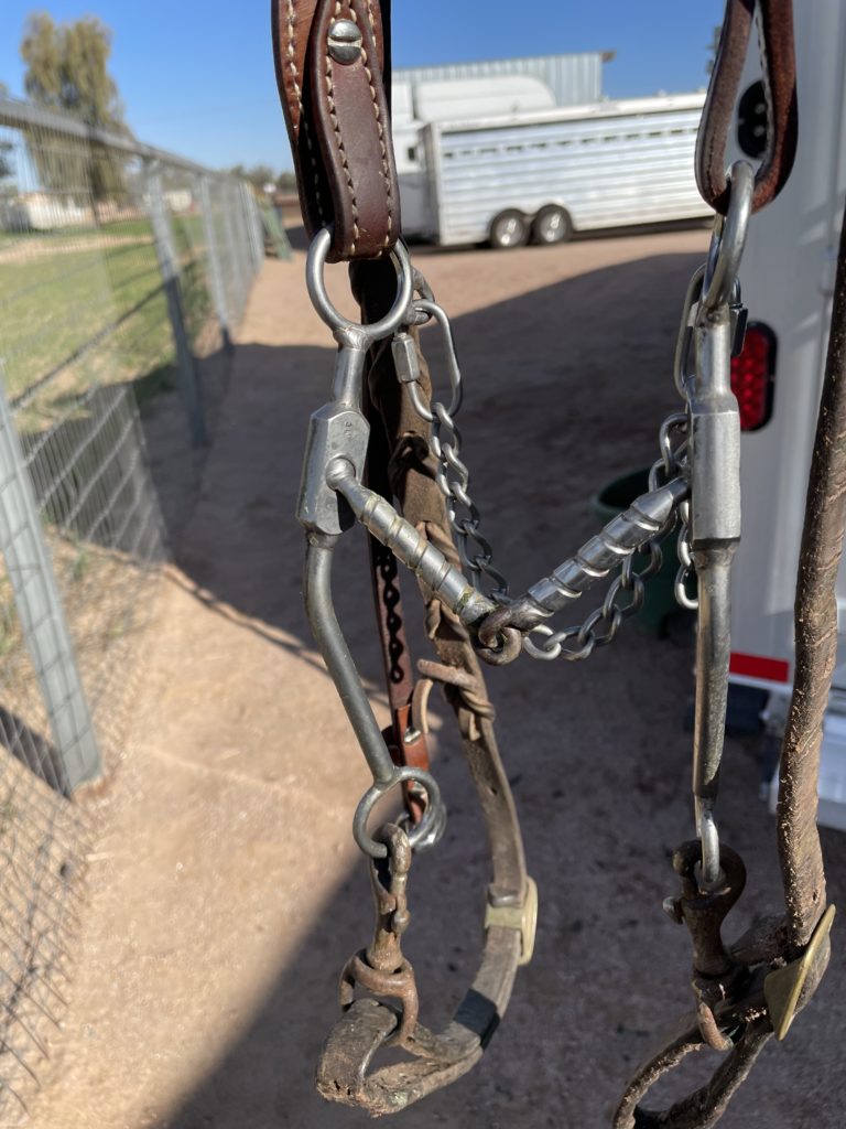 Perfect Runs in The Perfect Bit for Mark Bugni and "Mo" - BarrelRacing.com