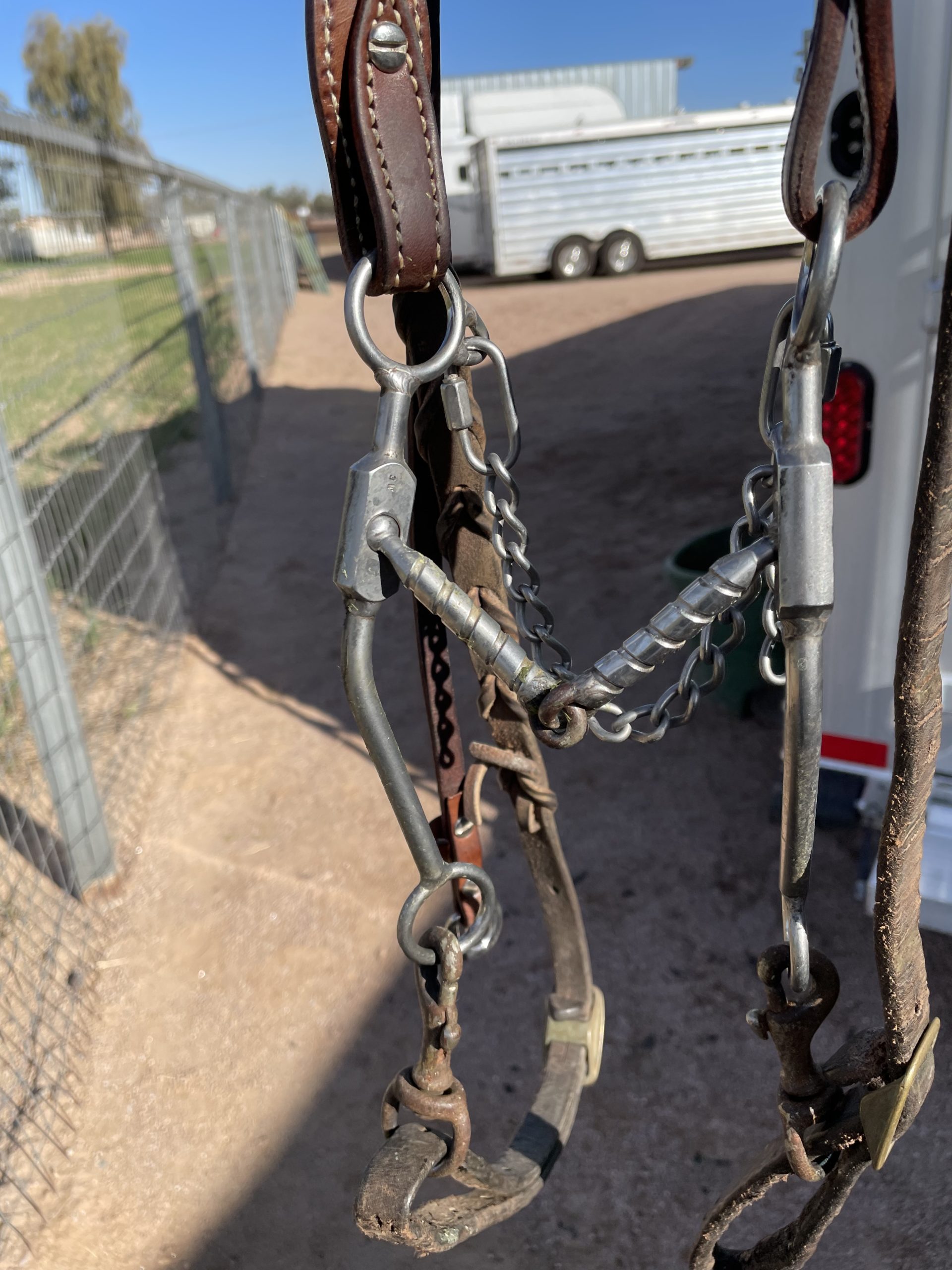 Perfect Runs in The Perfect Bit for Mark Bugni and "Mo" - BarrelRacing.com