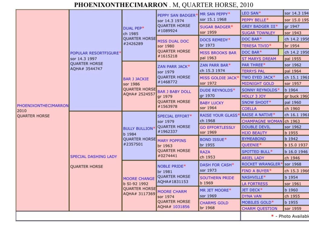 The American Barrel Racing Cheat Sheet- Semifinals Performance 1