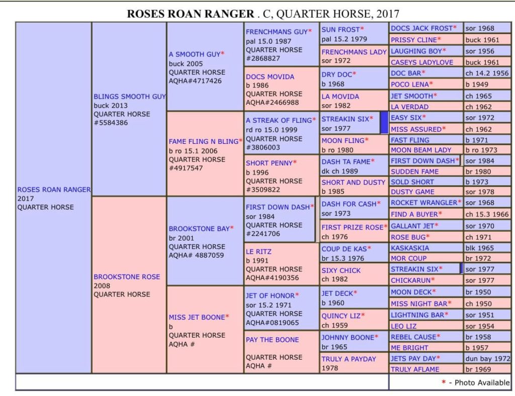 The American Barrel Racing Cheat Sheet- Semifinals Performance 1