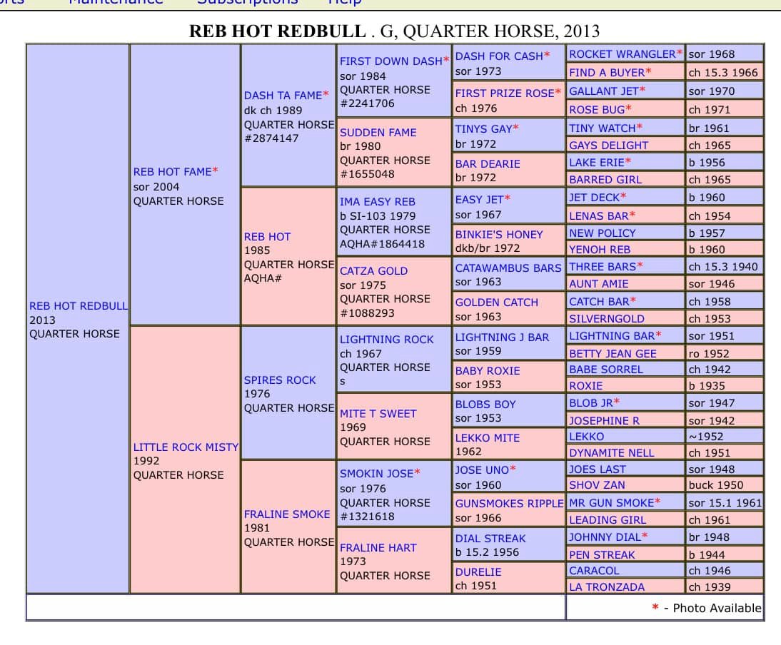 Laura Mote Breaks Cowtown Coliseum Barrel Racing Record
