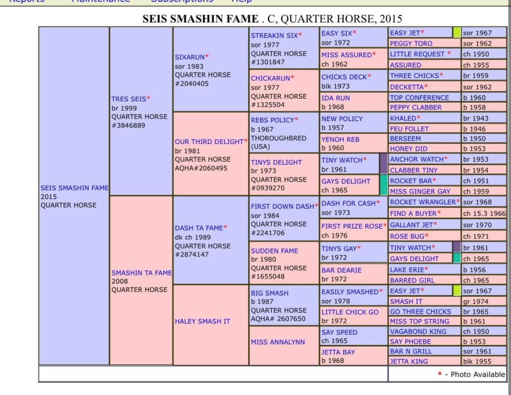 The American Barrel Racing Cheat Sheet- Semifinals Performance 1