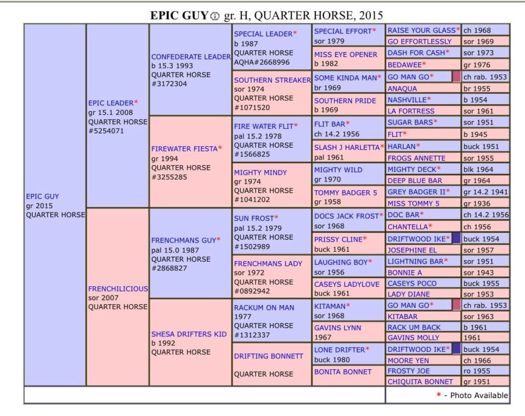 The American Barrel Racing Cheat Sheet- Semifinals Performance 1
