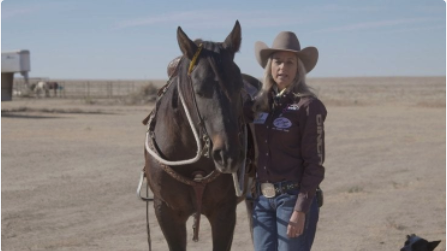 Shali Lord discusses draw reins, how to use them and how they keep her ...