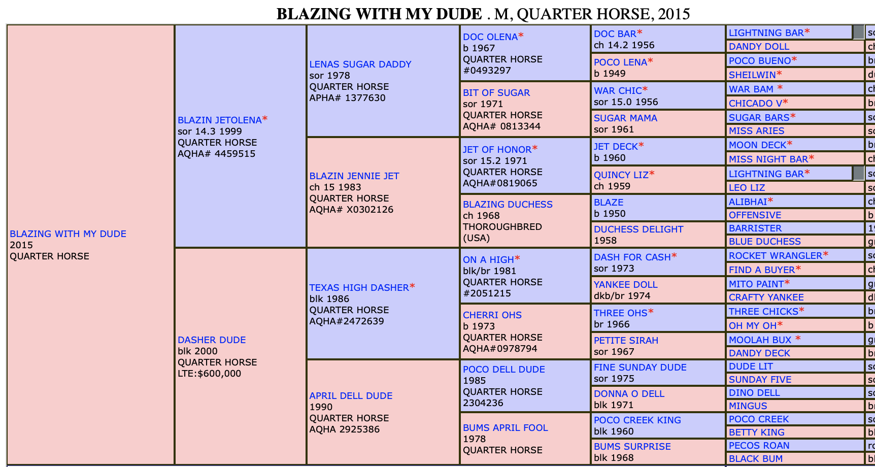 Blazing Speed: Andrea Busby Wins 2022 Cheyenne Frontier Days Barrel ...