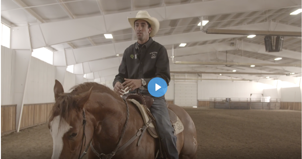 Advice For Kids in Barrel Racing