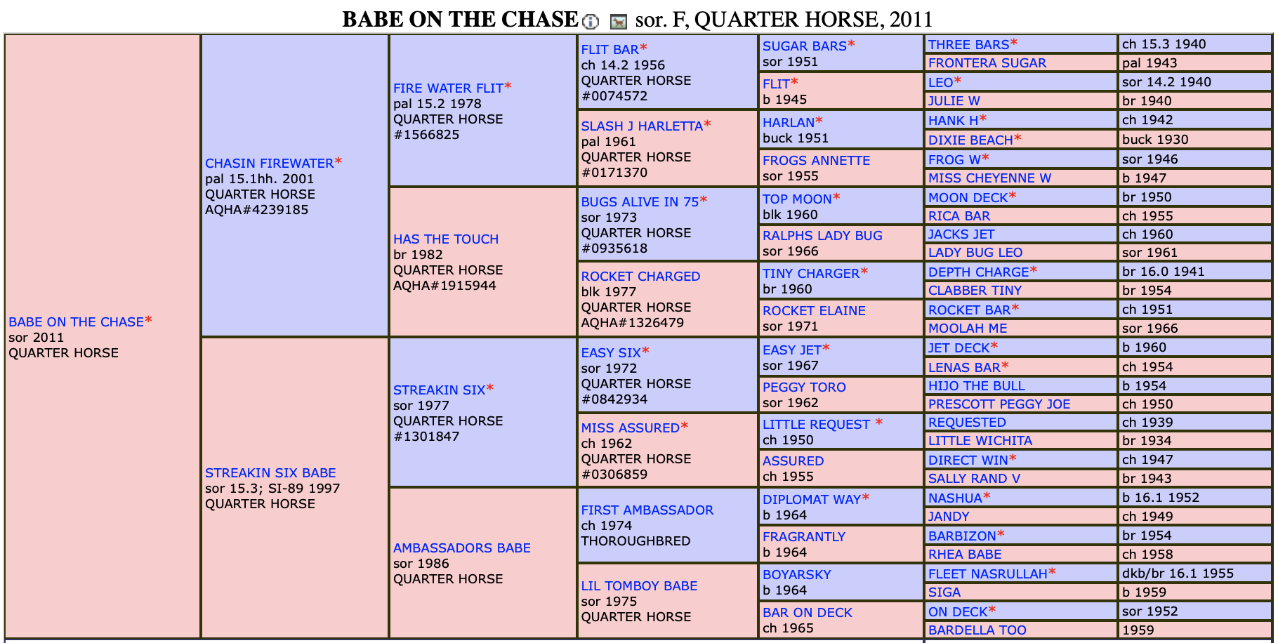 The Complete List of 2023 NFR Barrel Racing Horses