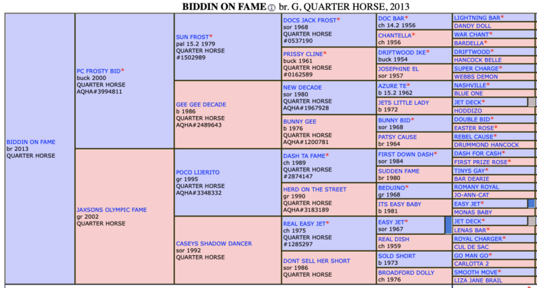 The Complete List of 2023 NFR Barrel Racing Horses