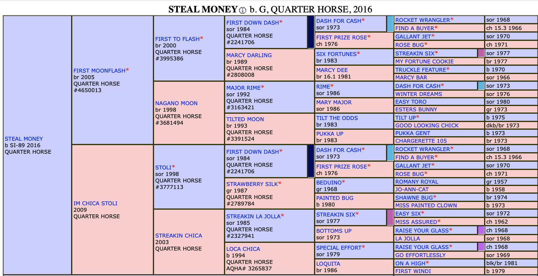 The Complete List of 2023 NFR Barrel Racing Horses