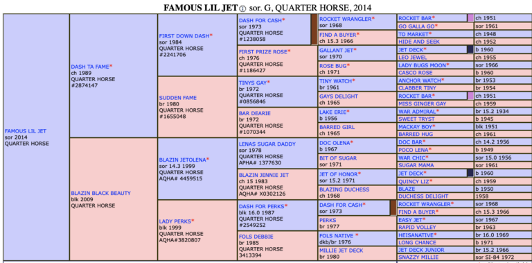 The Complete List of 2023 NFR Barrel Racing Horses