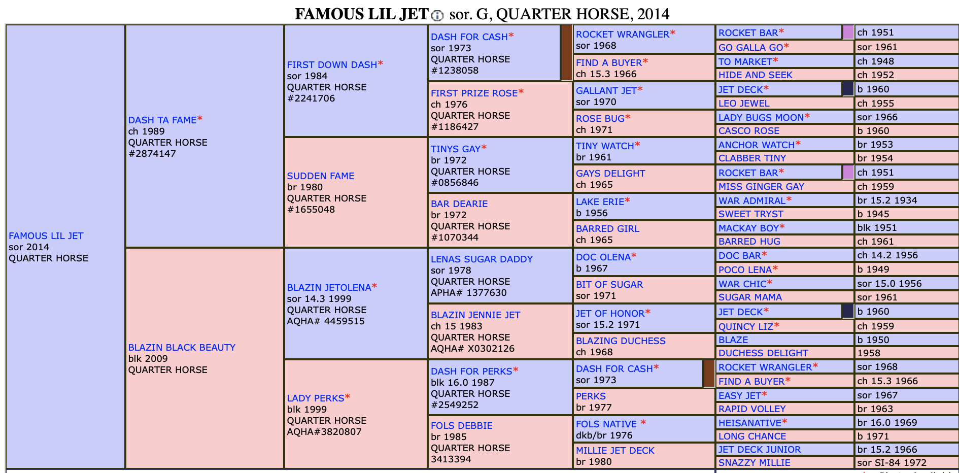 The Complete List of 2023 NFR Barrel Racing Horses