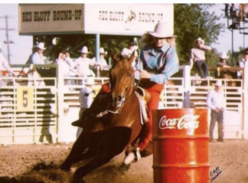 The Bits of World Champion Barrel Horses: 1984-2022