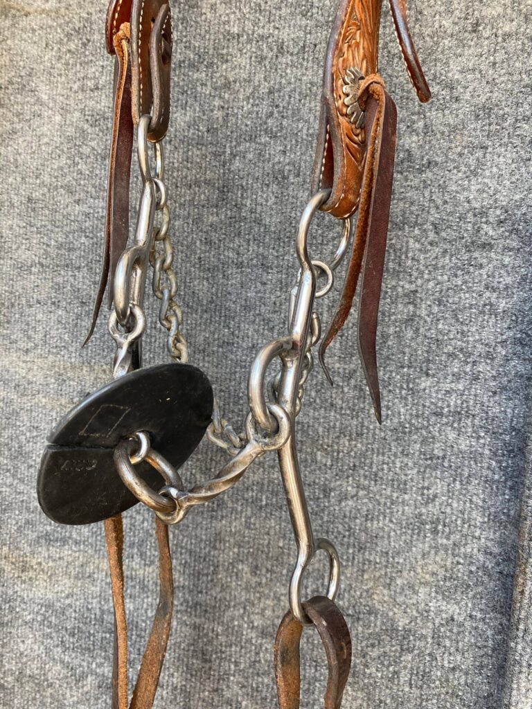 Top Rookie Barrel Racing Bits