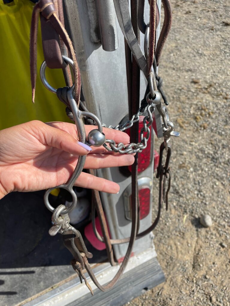 Top Rookie Barrel Racing Bits