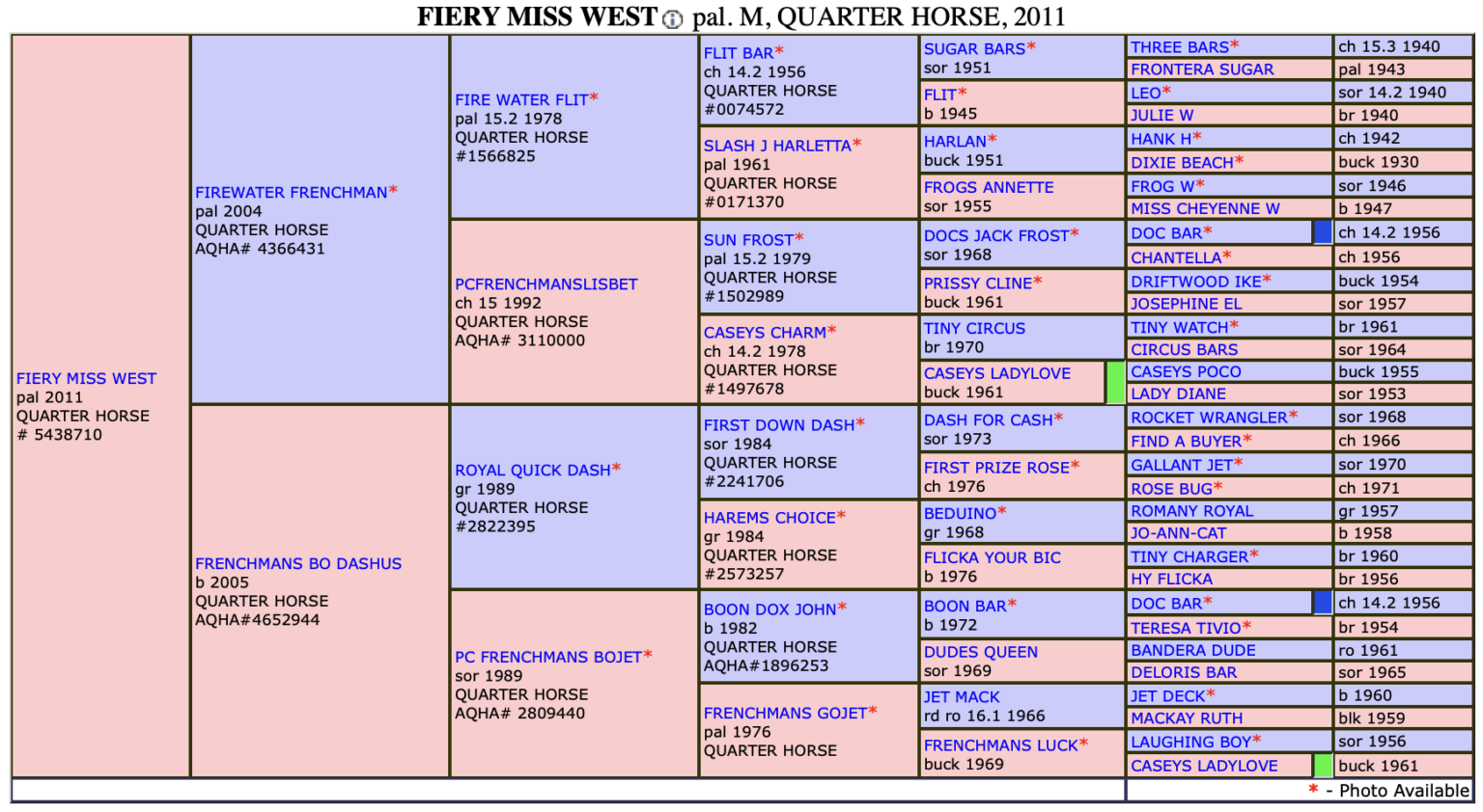 The Complete List of 2023 NFR Barrel Racing Horses