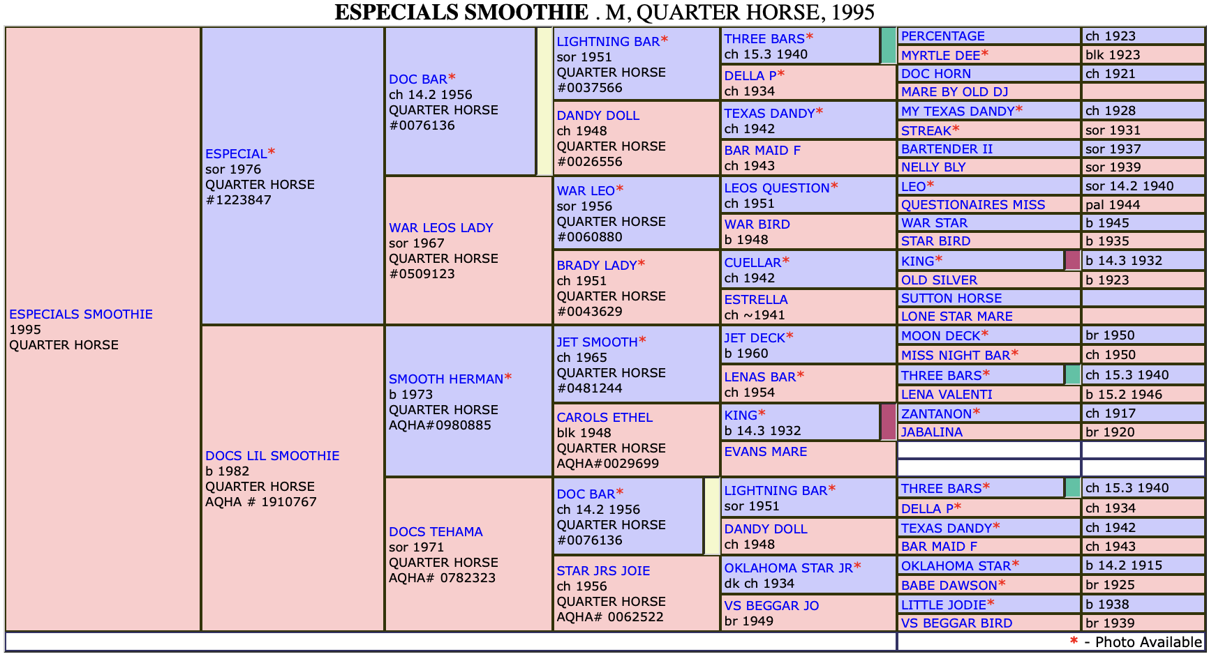 The Horses that Shaped Jessica Routier's Barrel Racing Career