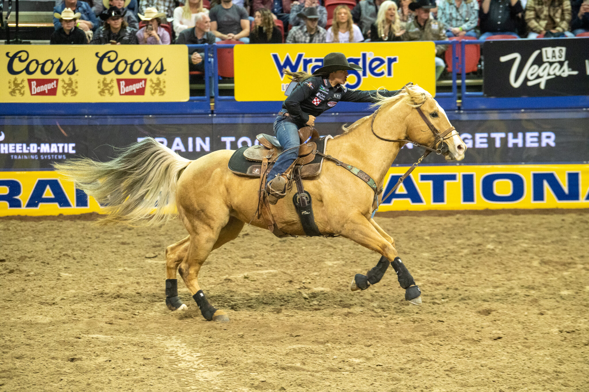 The Bits of World Champion Barrel Horses: 1984-2022