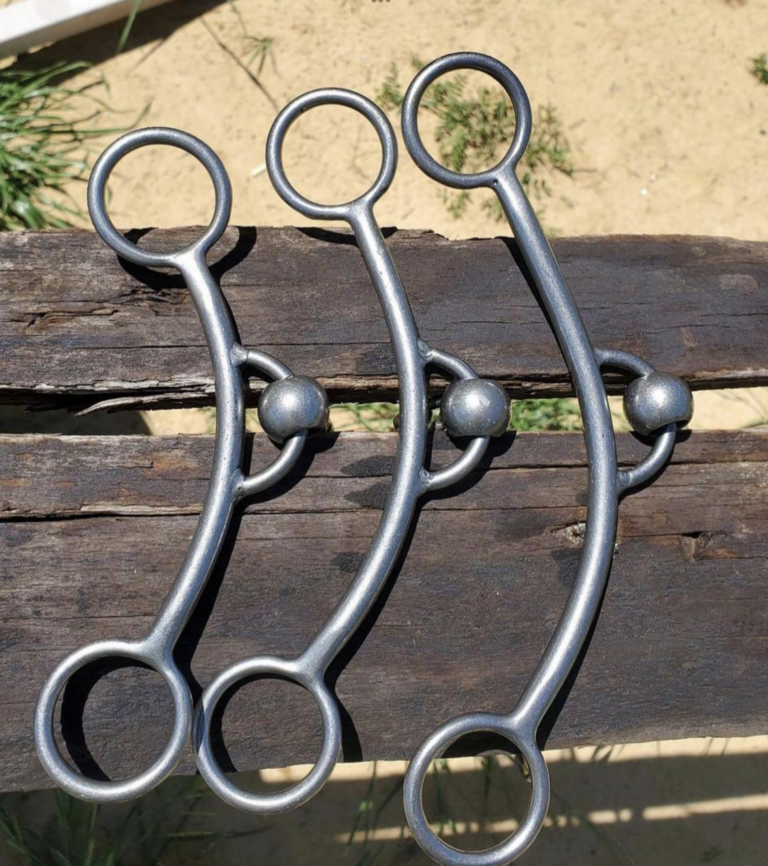 Understanding the Anatomy of Barrel Racing Bits