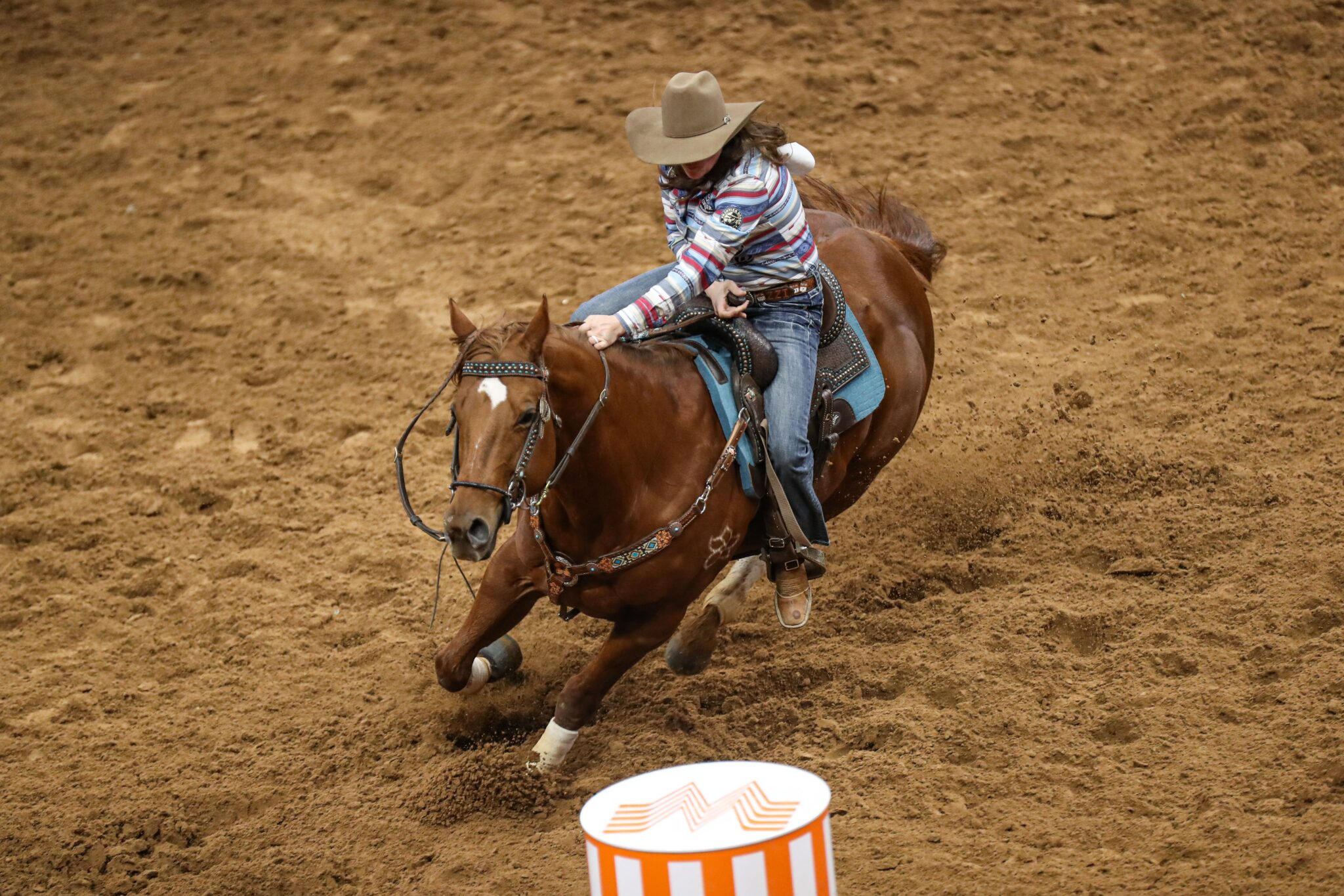 The Streakin Six Babe Story and Brittany Pozzi's Famous Mares