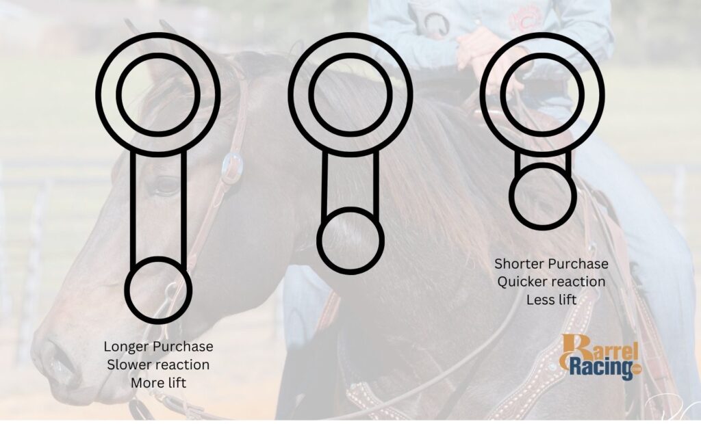 Understanding the Anatomy of Barrel Racing Bits