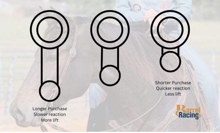 Understanding the Anatomy of Barrel Racing Bits