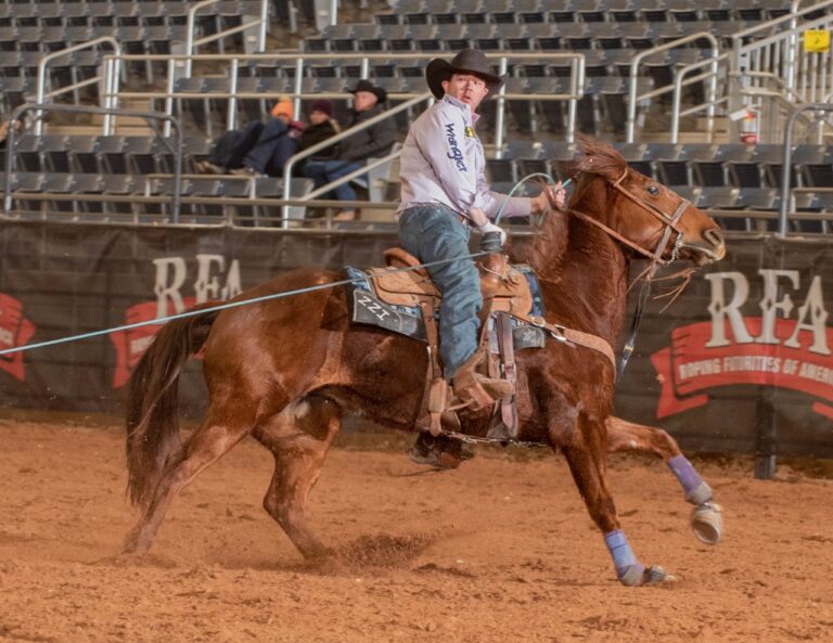 PROFiles: The Brittany Pozzi Tonozzi Story - BarrelRacing.com